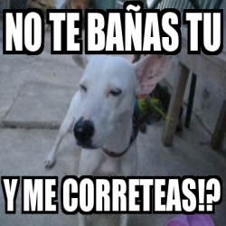 Meme Personalizado - No te bañas tu Y me Correteas!? - 32158716