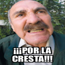 Meme Personalizado - ¡¡¡por la cresta!!! - 32159514