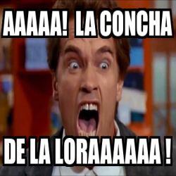 Meme Personalizado - aaaaa! la concha de la loraaaaaa ! - 32160504
