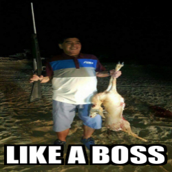 Meme Personalizado - LIKE A BOSS - 32161085