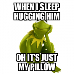 Meme Kermit the frog - When I sleep hugging him Oh it’s just My pillow ...