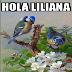 Meme Personalizado - Hola Liliana - 32169988