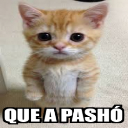 Meme Personalizado - Que a pashó - 32170490