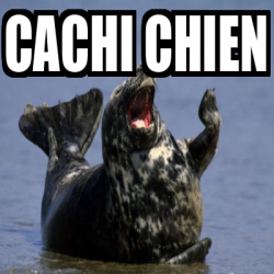 Meme Personalizado - Cachi chien - 32170606