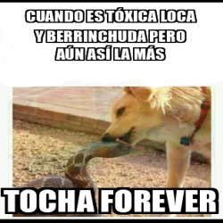 Meme Personalizado - Cuando es tóxica loca y berrinchuda pero aún así ...
