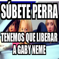 Meme Personalizado - Súbete perra Tenemos que liberar a Gaby Neme ...