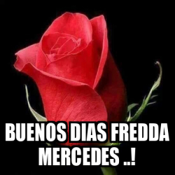 Meme Personalizado - BUENOS DIAS FREDDA MERCEDES ..! - 32180244
