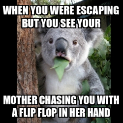 Meme Koala - when you were escaping but you see your mother chasing you ...