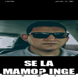 Meme Personalizado - Se la mamo? Inge - 32183697