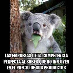 Meme Koala - LAS EMPRESAS DE LA COMPETENCIA PERFECTA AL SABER QUE NO ...