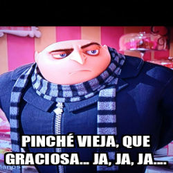 Meme Personalizado - Pinché vieja, que graciosa... Ja, ja, ja ...