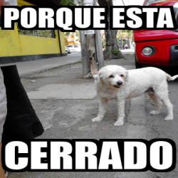 Meme Personalizado - porque esta cerrado - 32189639