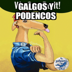 Meme Personalizado - Galgos y Podencos - 32190525