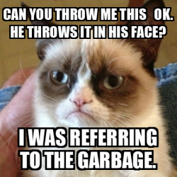 Meme Grumpy Cat - Can you throw me this Ok. he throws it in his face? I ...