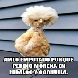 Meme Personalizado - amlo emputado porque perdio morena en hidalgo y ...