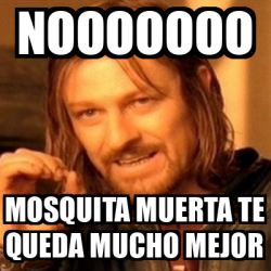 Meme Boromir - nooooooo mosquita muerta te queda mucho mejor - 32211120