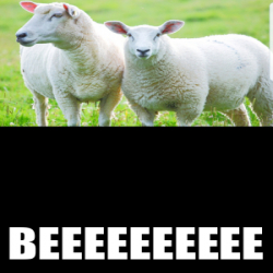 Meme Personalizado - beeeeeeeeee - 32212352