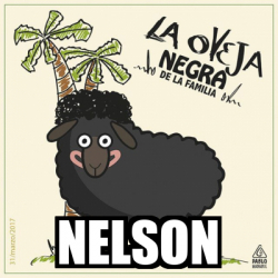 Meme Personalizado - NELSON - 32222541