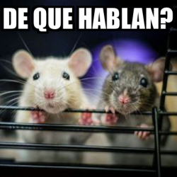 Meme Personalizado - De que hablan? - 32225079