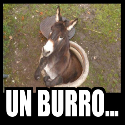 Meme Personalizado - Un burro... - 32228332