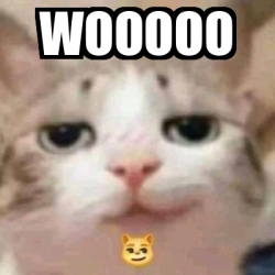 Meme Personalizado - WOOOOO - 32235156