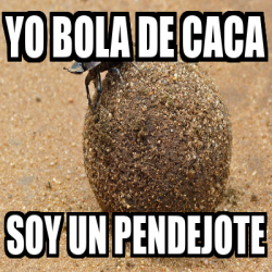 Meme Personalizado - Yo bola de caca soy un pendejote - 32238188