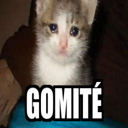 Meme Personalizado - gomité - 32240774