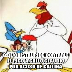 Meme Personalizado - G.de Cristal Pide cortarle el pico a gallo claudio ...