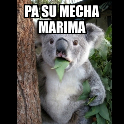 Meme Koala - PA SU MECHA MARIMA - 32248503