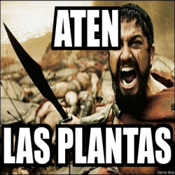 Meme Personalizado - ATEN LAS PLANTAS - 32248757