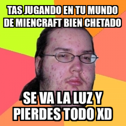 Meme Friki - tas jugando en tu mundo de miencraft bien chetado se va la ...