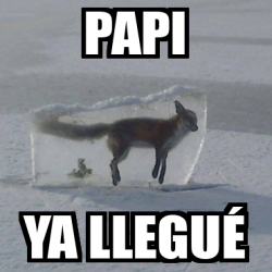 Meme Personalizado - Papi Ya llegué - 32251799