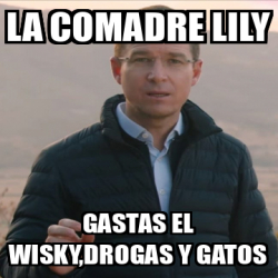 Meme Personalizado - la comadre lily gastas el wisky,drogas y gatos ...