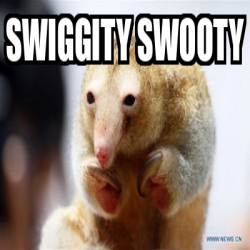 Meme Personalizado - Swiggity Swooty - 32269695