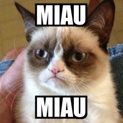 Meme Grumpy Cat - miau miau - 32270475