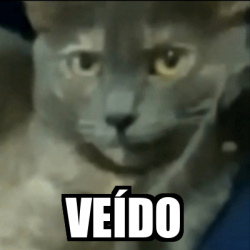 Meme Personalizado - veído - 32271720
