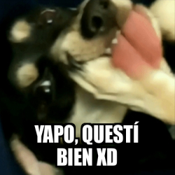 Meme Personalizado - yapo, questí bien xd - 32271725