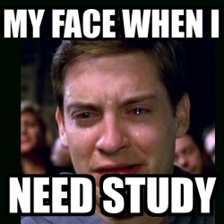 Meme crying peter parker - my face when i need study - 32280855