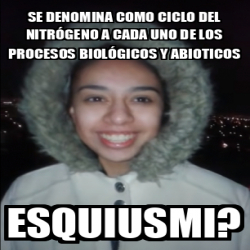 Meme Personalizado - Se denomina como ciclo del nitrógeno a cada uno de ...