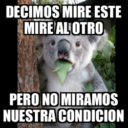 Meme Koala - Decimos mire este mire al otro Pero no miramos nuestra ...