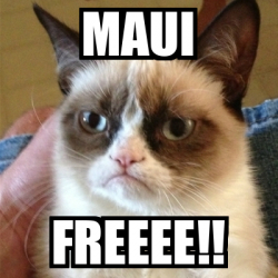 Meme Grumpy Cat - MAUI FREEEE!! - 32295316