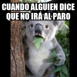 Meme Koala - Cuando alguien dice que no irá al paro - 32299000