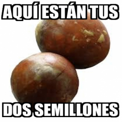 Meme Personalizado - aquí están tus dos semillones - 32030172