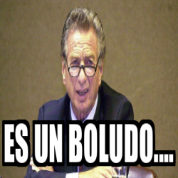 Meme Personalizado - ES UN BOLUDO.... - 32031040