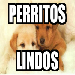 Meme Personalizado - perritos lindos - 32031825