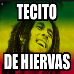 Meme Personalizado - tecito de hiervas - 32303028