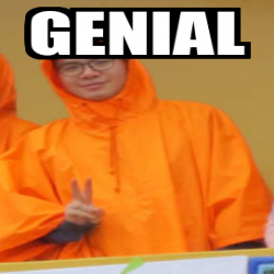 Meme Personalizado - genial - 32304059