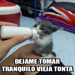 Meme Personalizado - DEJAME TOMAR TRANQUILO VIEJA TONTA - 32305151
