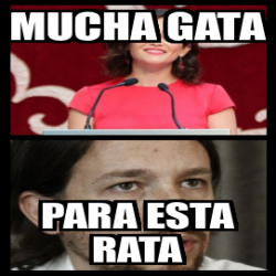 Meme Personalizado - MUCHA GATA PARA ESTA RATA - 32312884