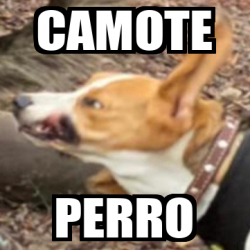 Meme Personalizado - Camote Perro - 32317648